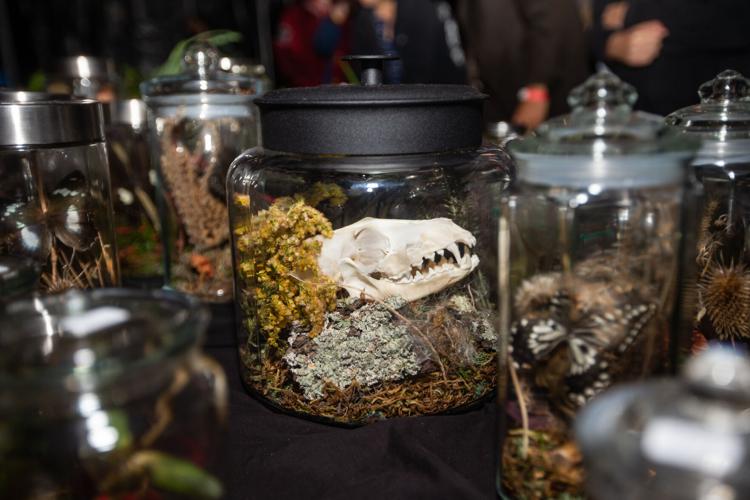 Photos: Ironton Wizardfest | Multimedia | herald-dispatch.com