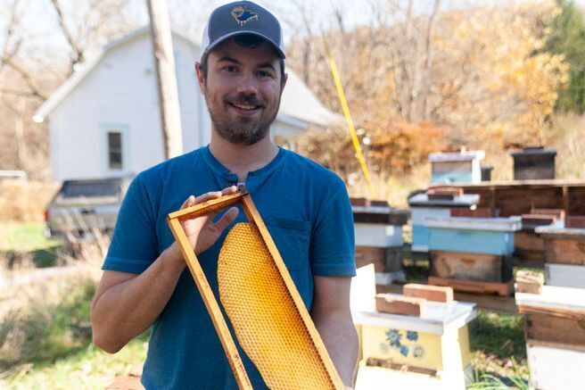 WV beekeepers draft bill to increase honey bee protections | News ...