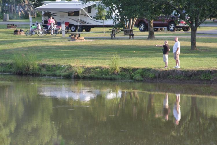 Gallery: Beech Fork Marina | Photos News | herald-dispatch.com