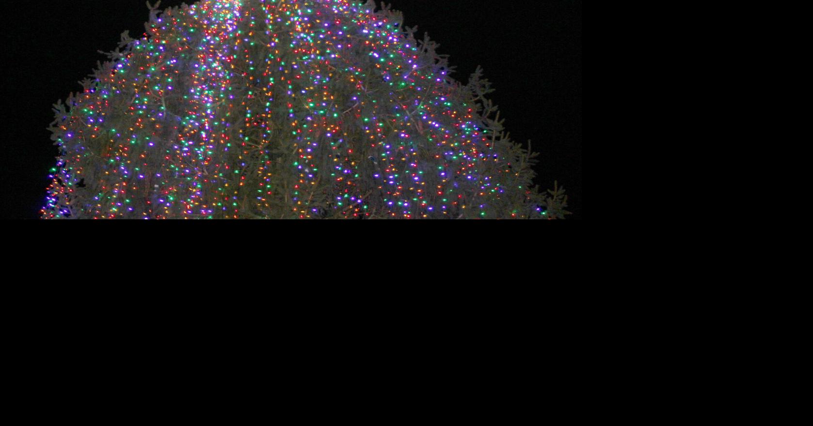 Kenova Annual Memorial Tree Lighting set for Dec. 4 | Features ...