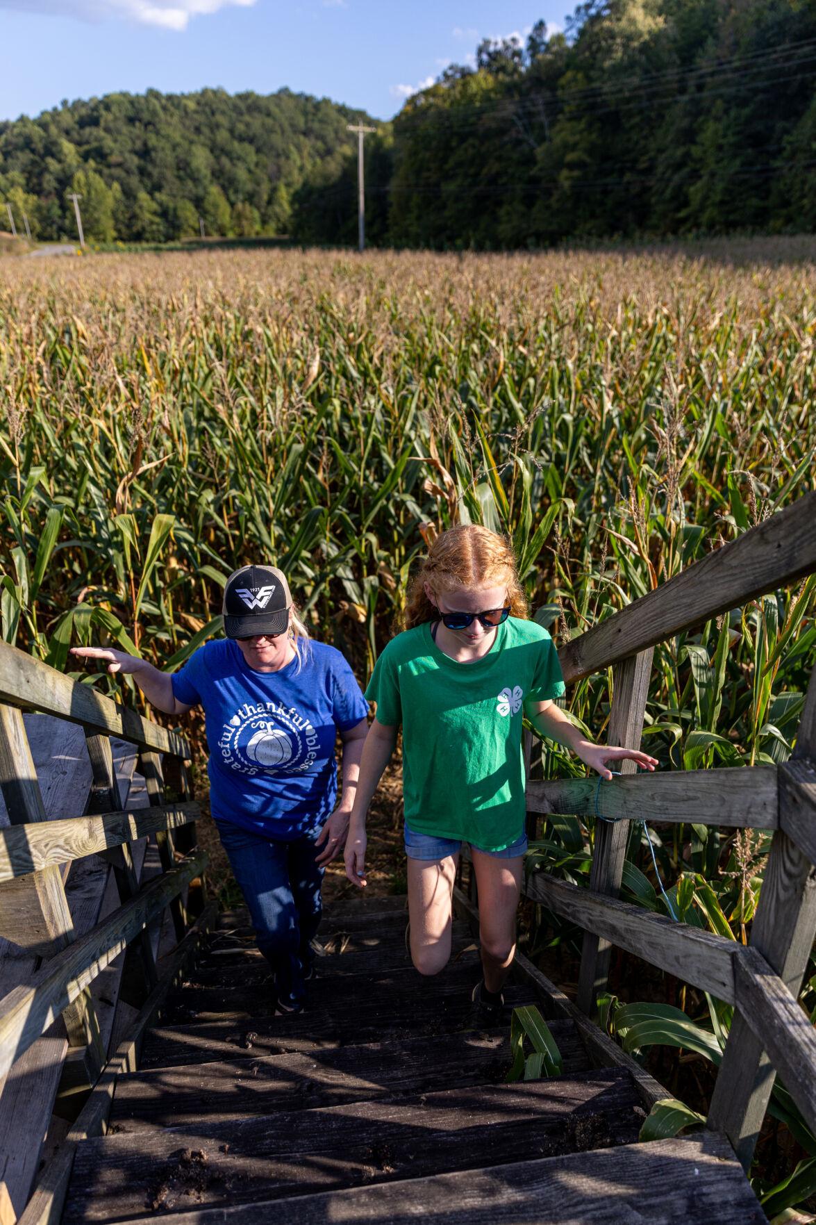 Photos: Wilson Family Farm opens for the season | Multimedia | herald ...