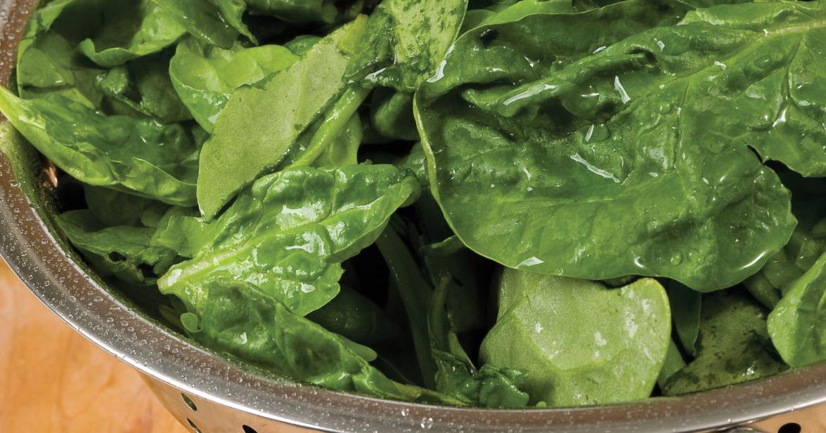 Travis Lemon: Supplement with various plant sources of iron | Features ...