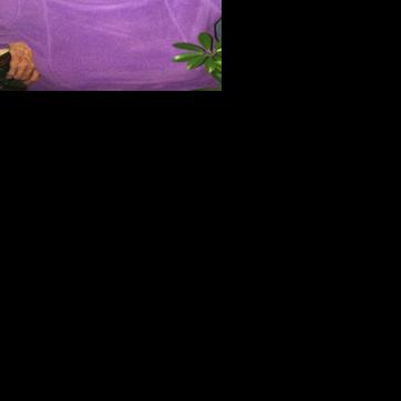 PATSY RUTH MILLER DAVIS | Chapman's Mortuary & Crematory | herald ...