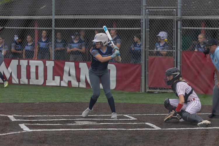 Prep softball sectionals: Bottom of order comes through as Knights beat ...