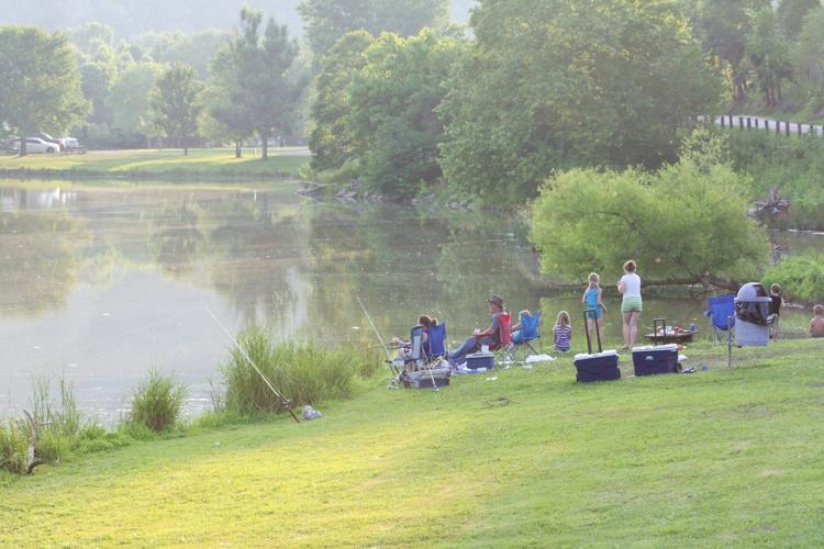 Gallery: Beech Fork Marina | Photos News | herald-dispatch.com