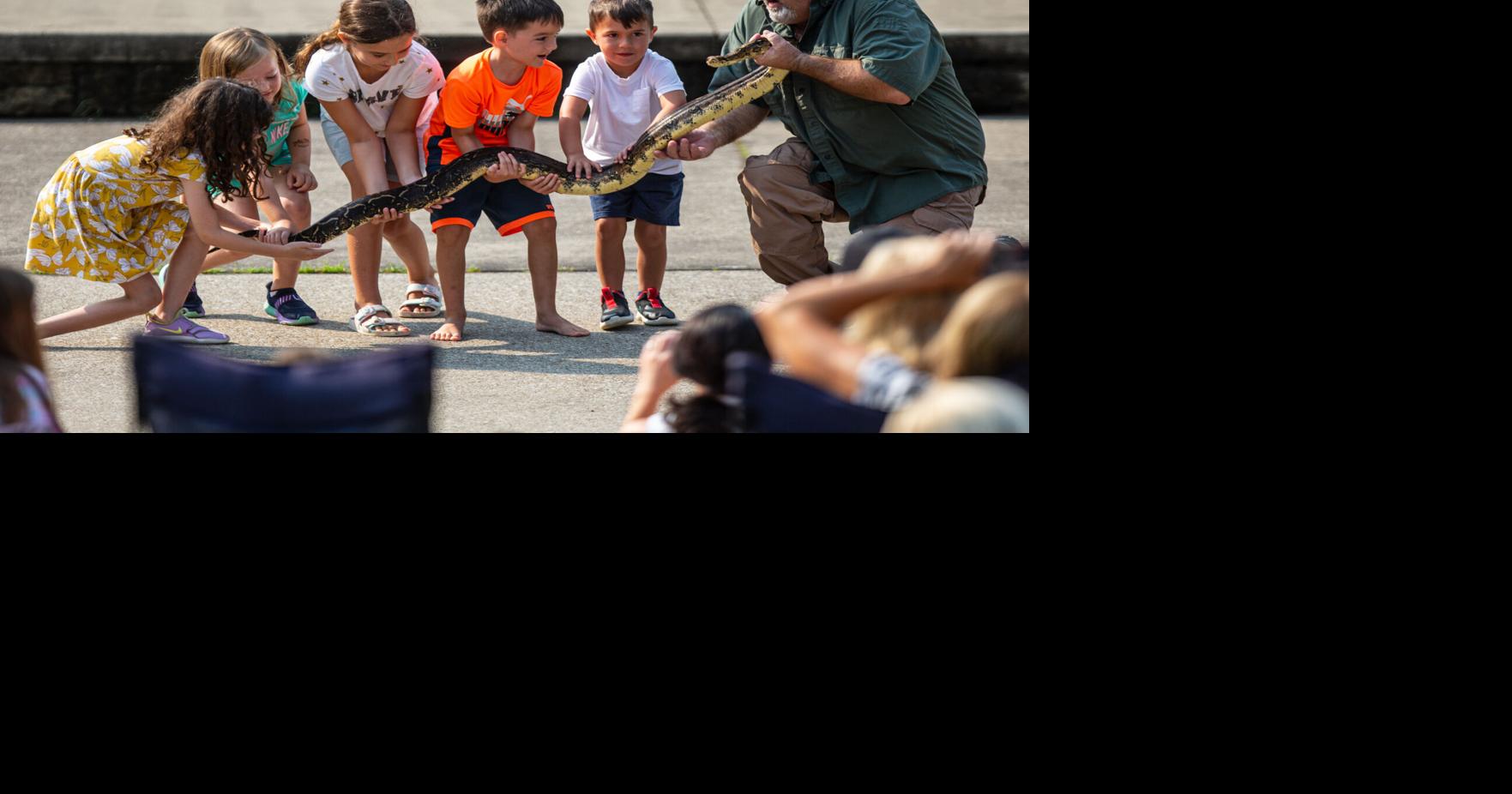 Photos: Dr. Des Coveries Wild Animal Show | Multimedia | herald ...