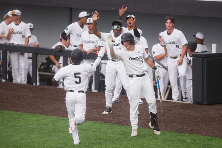 Coal Cats opener deemed a success despite rain, 6-3 loss | Sports ...