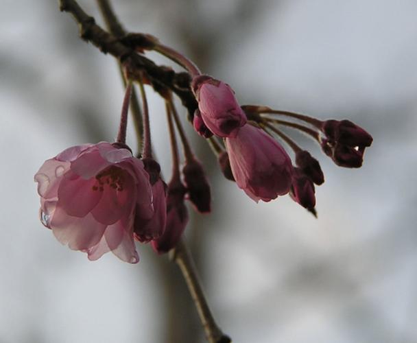 Mixed Media Poetry reading is today | News | herald-dispatch.com