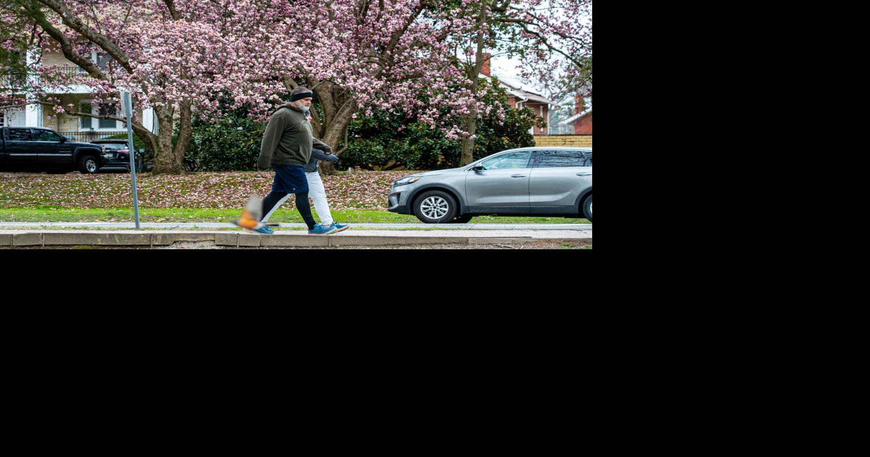 Brisk weather leads region toward spring | News | herald-dispatch.com