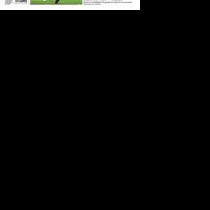 Page B1 | e-Edition | herald-dispatch.com