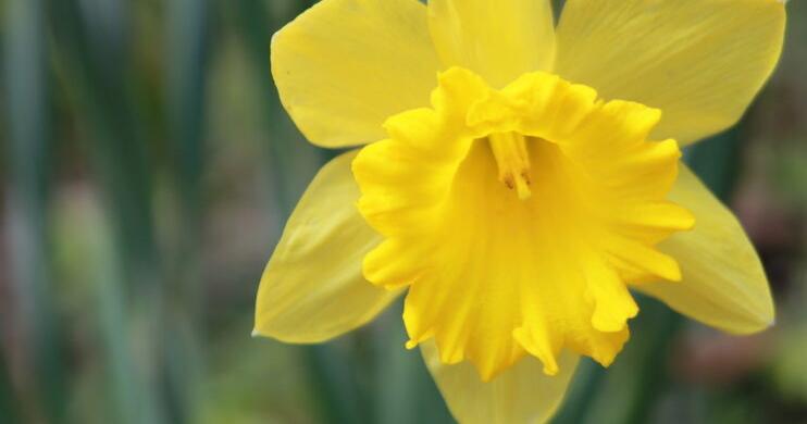 Obituary in Sept. 24, 2020, edition - Alvin Rollins | Obituaries ...