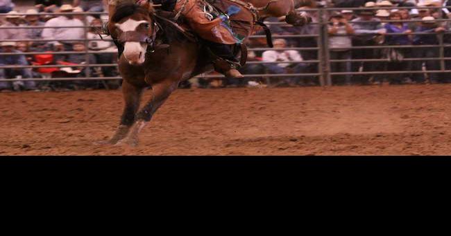 Female bronc riders redefine women’s role in rodeos on RIDE TV’s ...