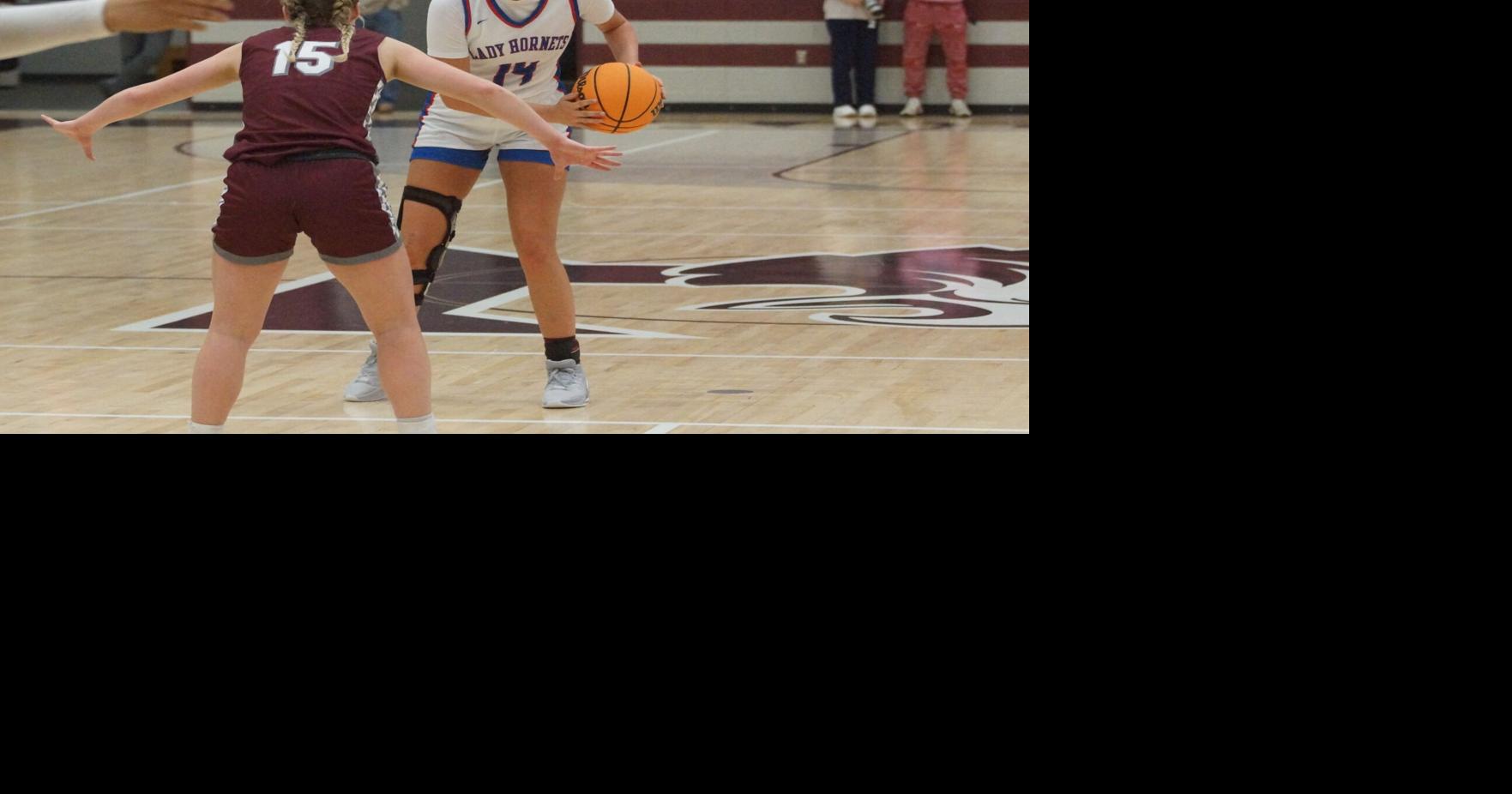 Lady Hornets finish third in district tourney | Local Sports ...