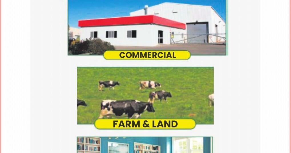 R & R AUCTIONEERS & REALTY INC