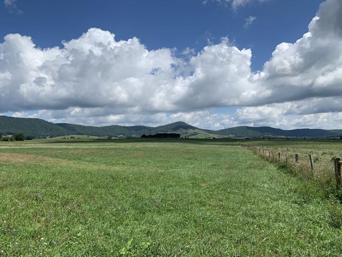 Virginia Farm Bureau video producer Burke Moeller to feature Tazewell ...