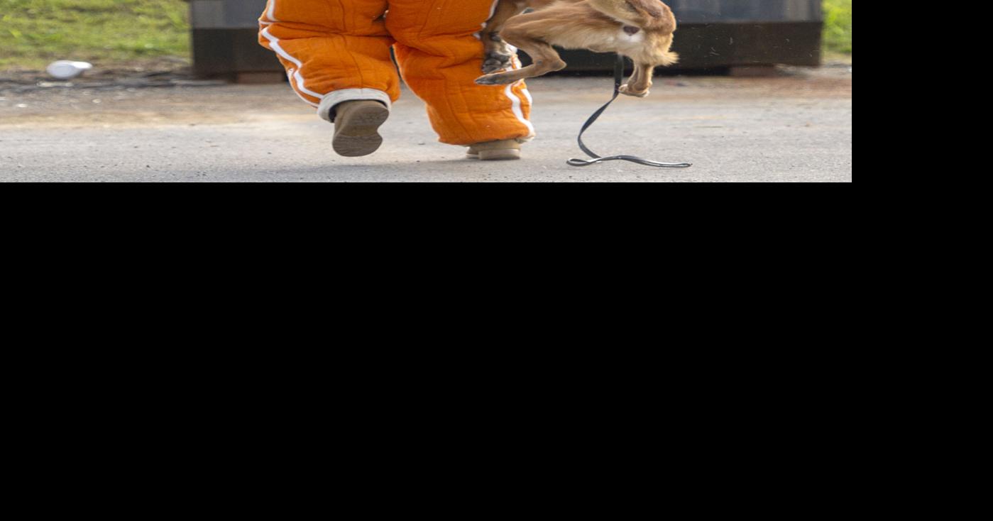 New K-9 bite suit demonstrated at Sullivan County Sheriff's Office