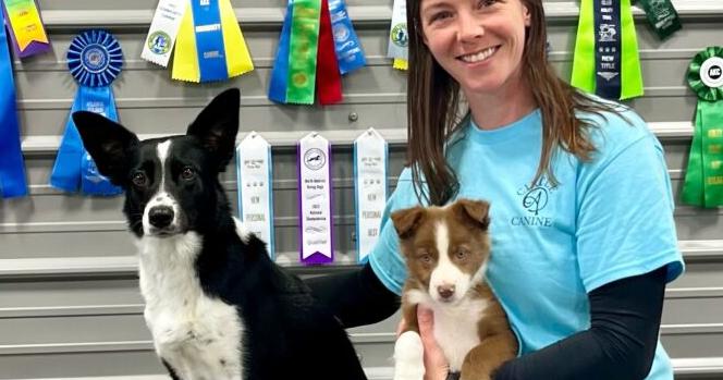 Trainer Stephanie Sargent loves "everything dogs"