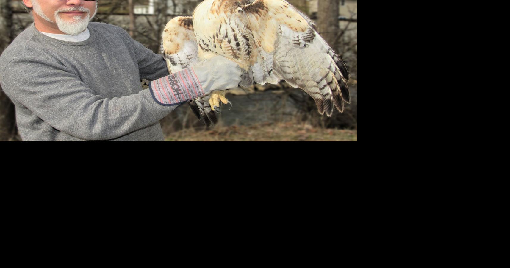 Wildlife rehabilitator helps animals return to natural habitats