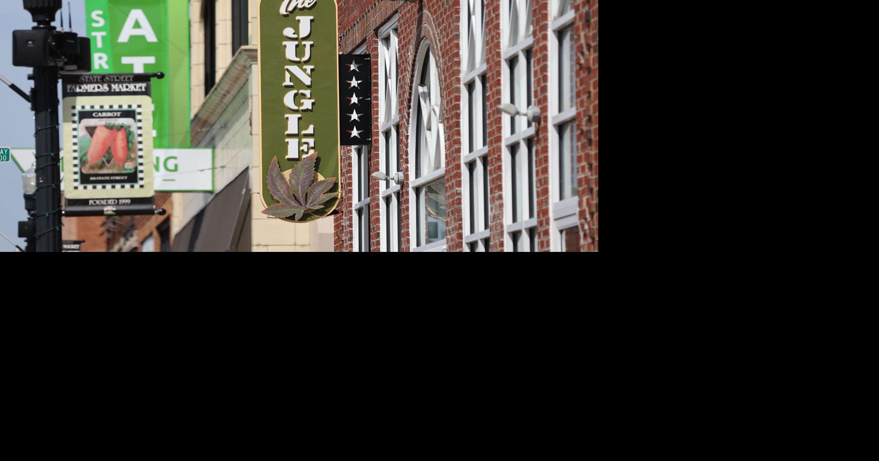 The Jungle Hemp & CBD Dispensary now open