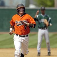 D2 BASEBALL: Warriors' Aaron Conley makes last game a memorable one