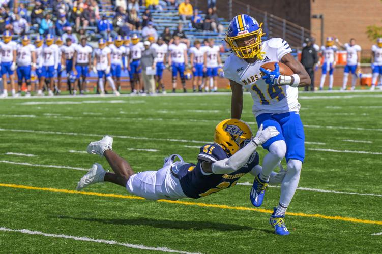 COLLEGE FOOTBALL: New quarterback, but same results for E&H Wasps