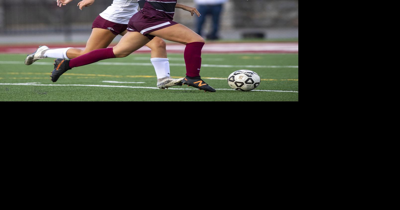 Littleton scores 2 goals as Tennessee High kicks past Indians