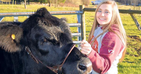 14-year-old Carlee Taylor calms prize-winning heifers with just her voice