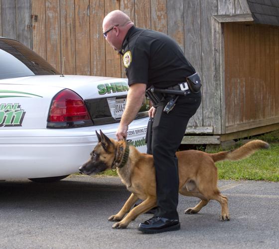 New K-9 bite suit demonstrated at Sullivan County Sheriff's Office
