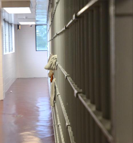 Sullivan County officials hear jail expansion options