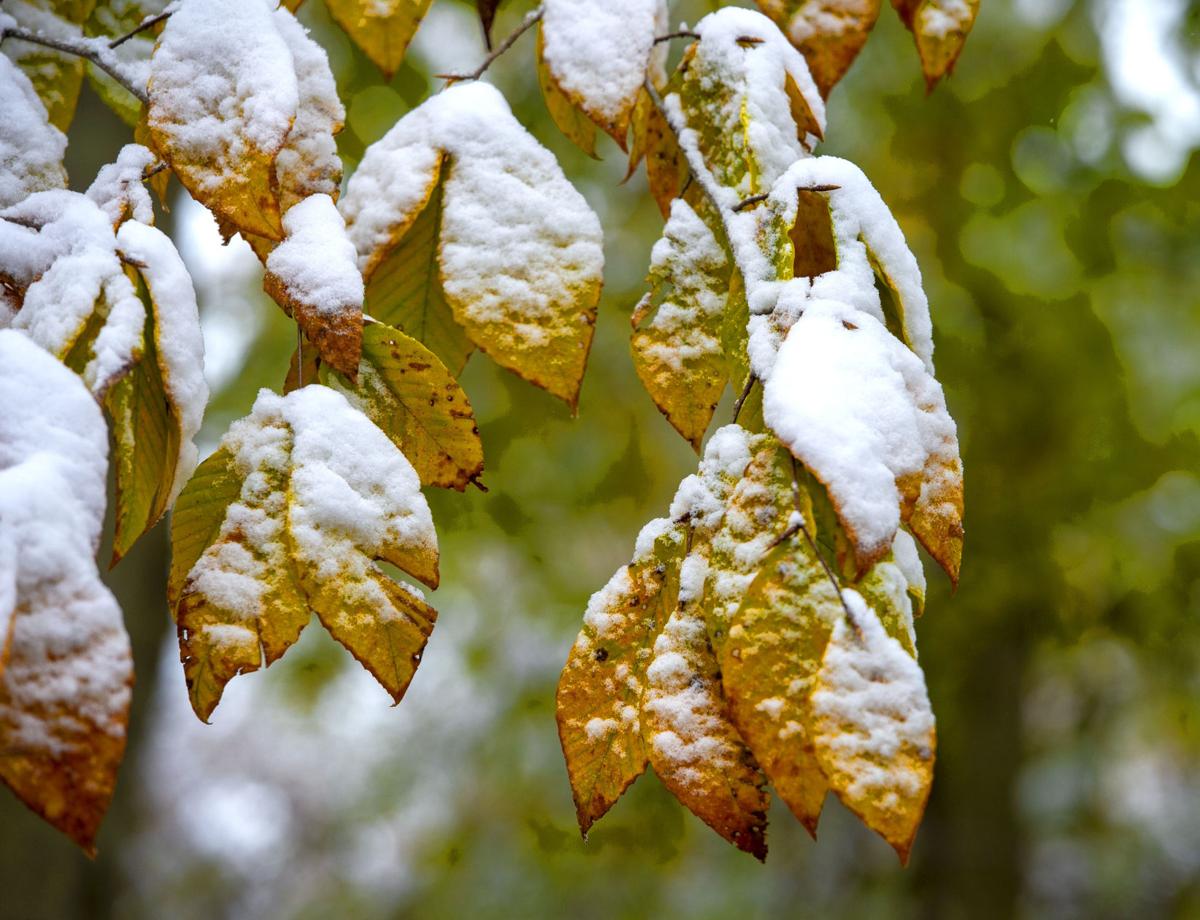 NWS: Snow in forecast for region on Tuesday night