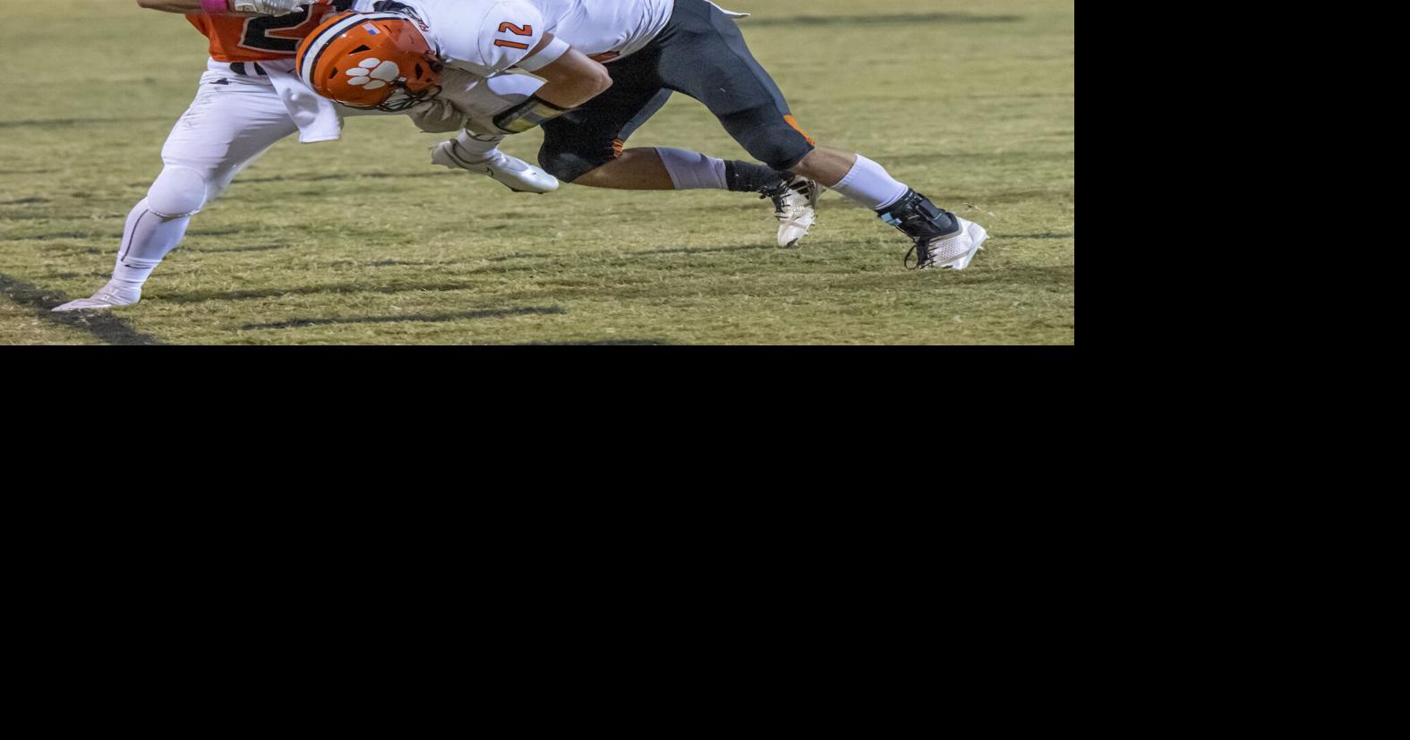 Prep Football: Despite loss to Honaker, Patrick Henry holds on to top ...