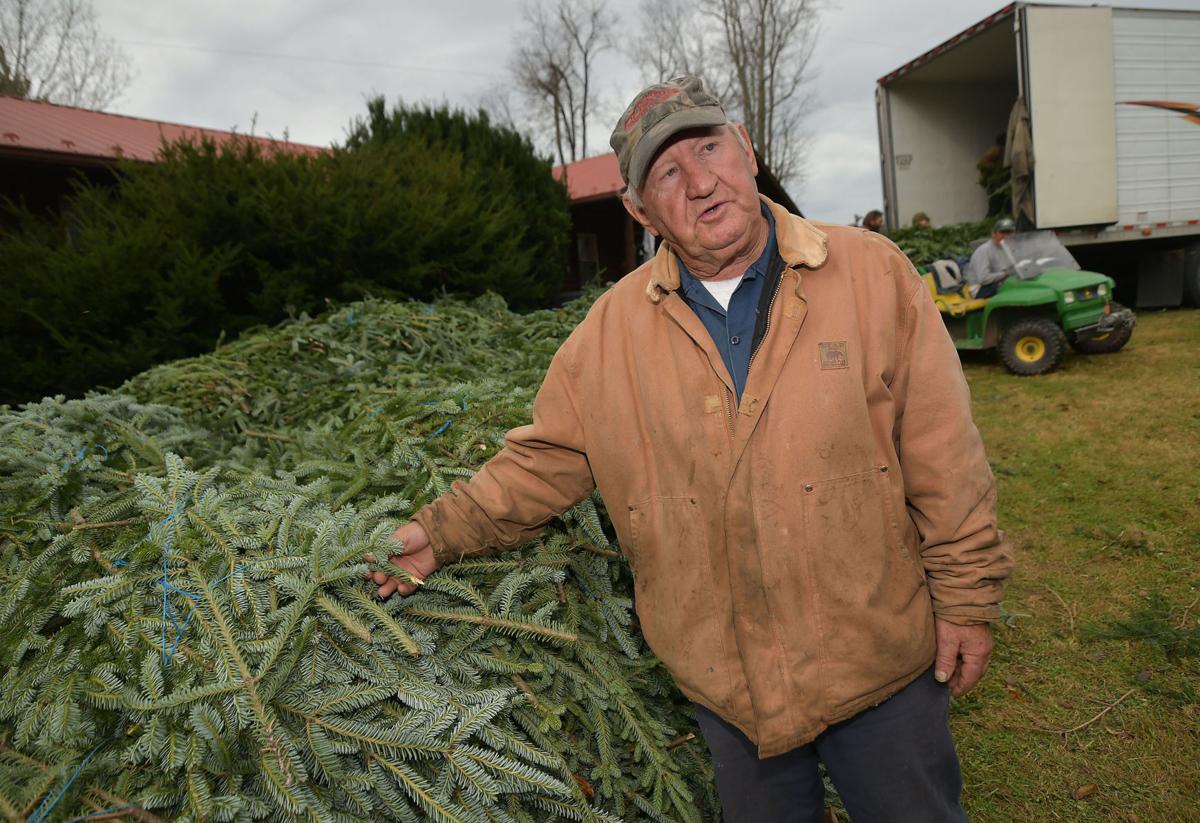 Local tree farms let shoppers choose pick of the crop