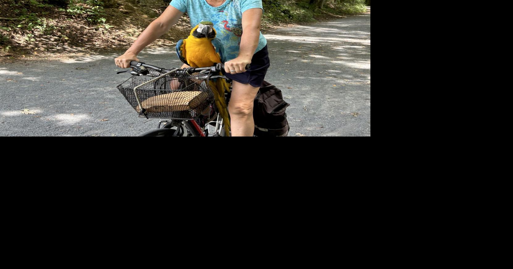 A special bird makes its way along the Creeper Trail