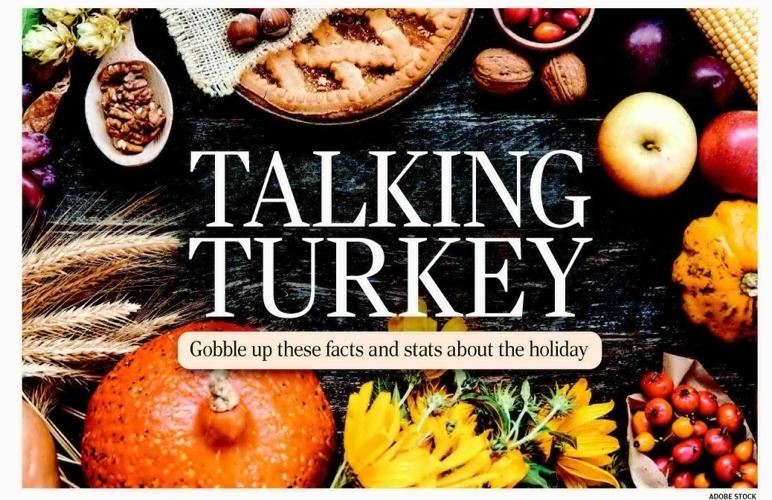 TALKING TURKEY