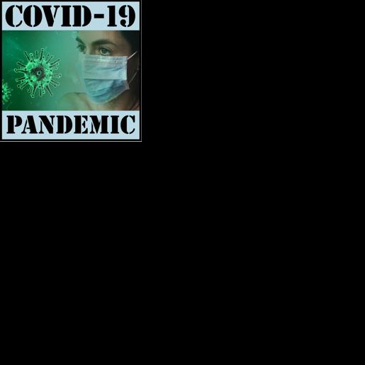 VDBHDS confirms second SWVMHI COVID-19 diagnosis, provides N95 masks to ...
