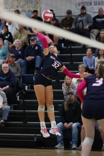 SWVA volleyball reaches regional stage