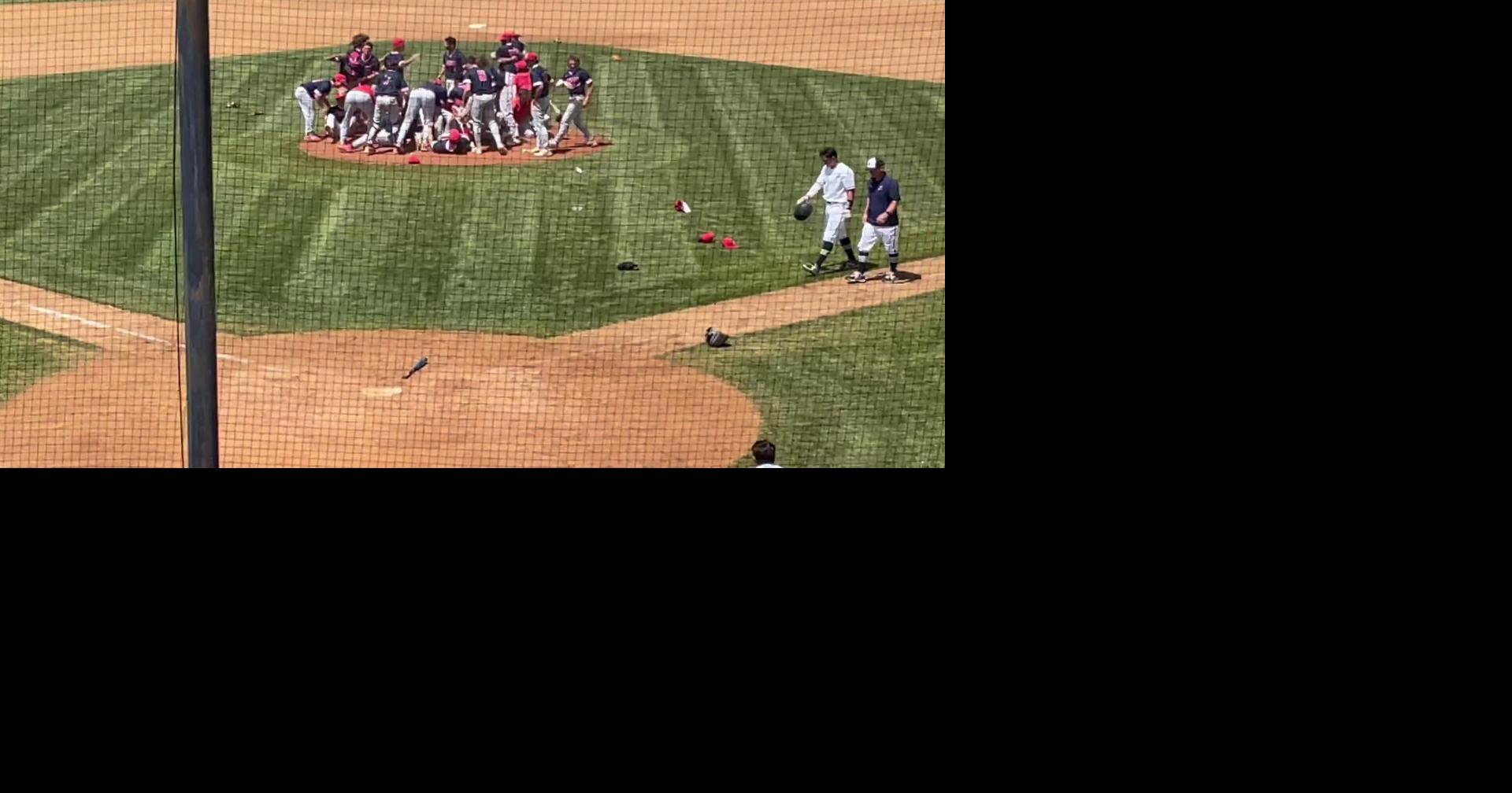 PREP BASEBALL Falcons fought to the end against champion Tigers