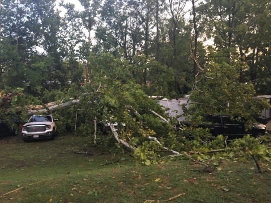 Tree falls on campers, vehicles near BMS