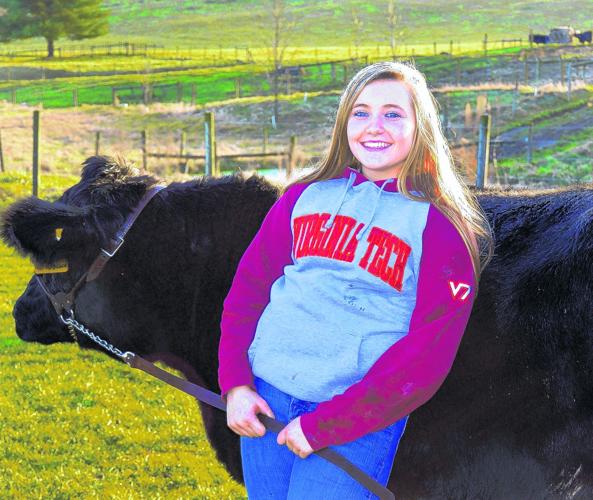14-year-old Carlee Taylor calms prize-winning heifers with just her voice