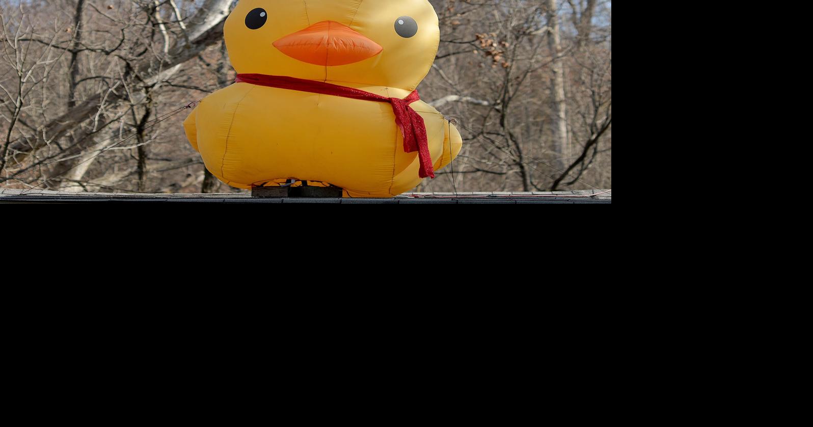 The return of the Weaver Pike Christmas duck