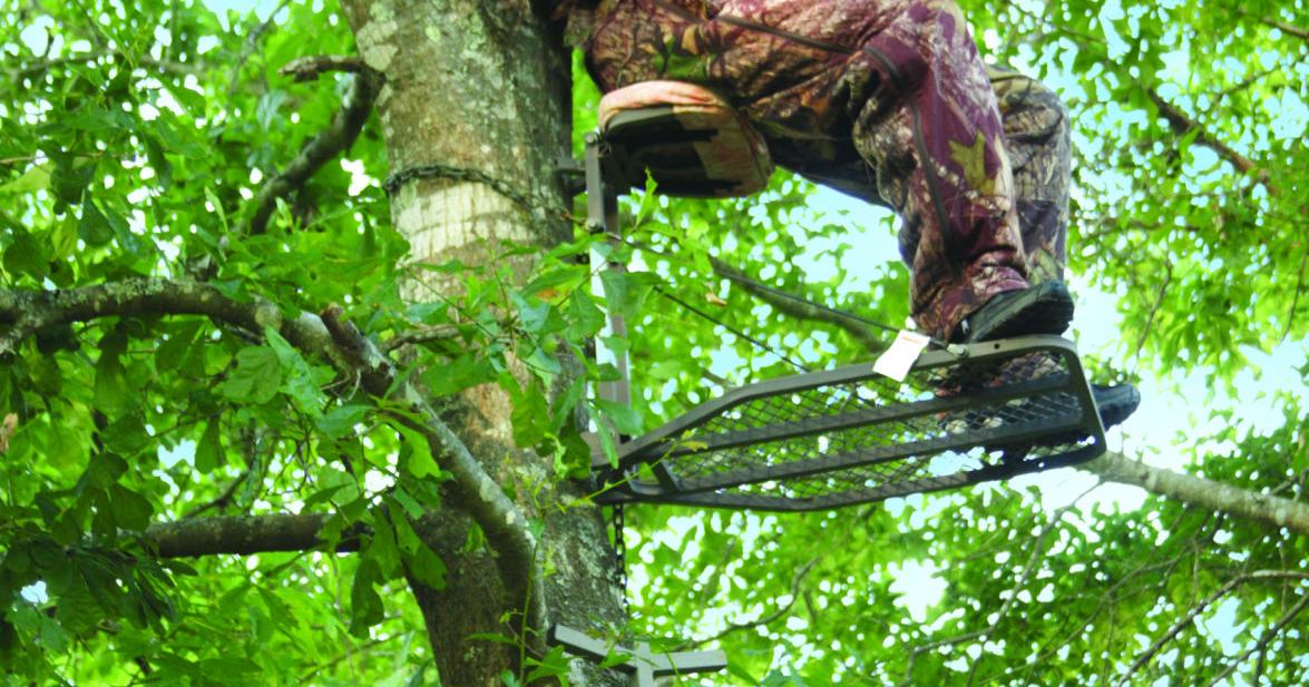 Tree stand safety tips