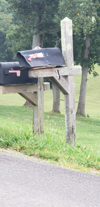 Washington County authorities investigating vandalism of mailboxes