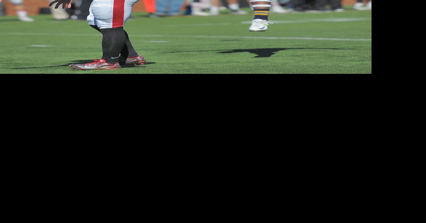 Williams makes Wasps buzz