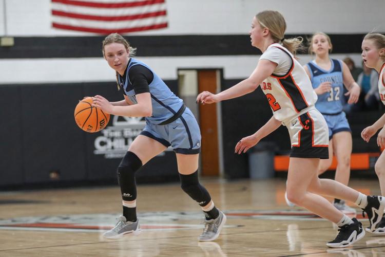 PREP GIRLS HOOPS: Payton Hester guides young Chilhowie team to regional ...