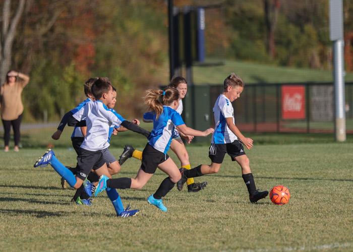 Abingdon sports complex pays dividends in first summer of operation