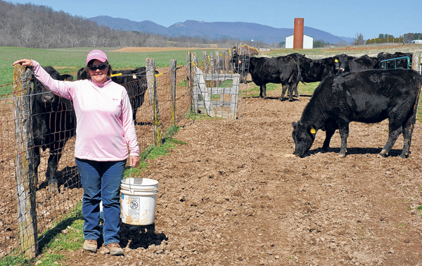 Waddle named Virginia Farm Bureau Federation's 2013 Farm Woman of the Year
