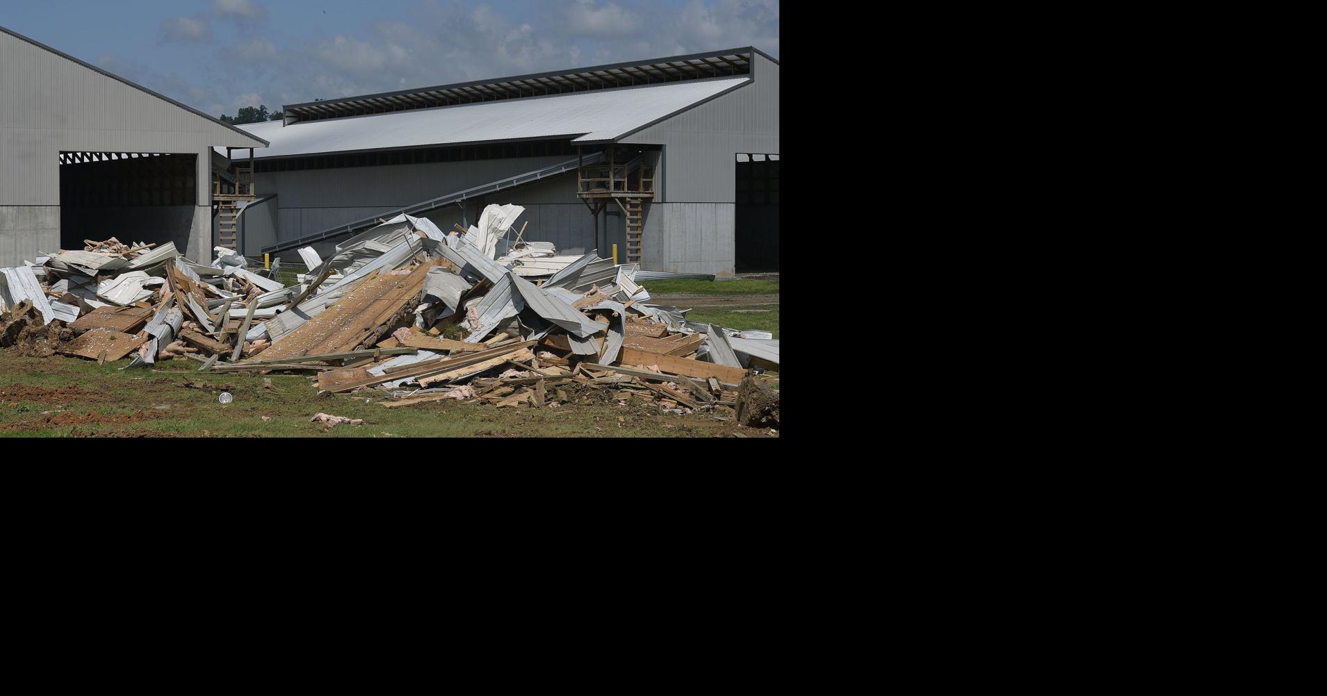 Poultry farm damaged during recent storms
