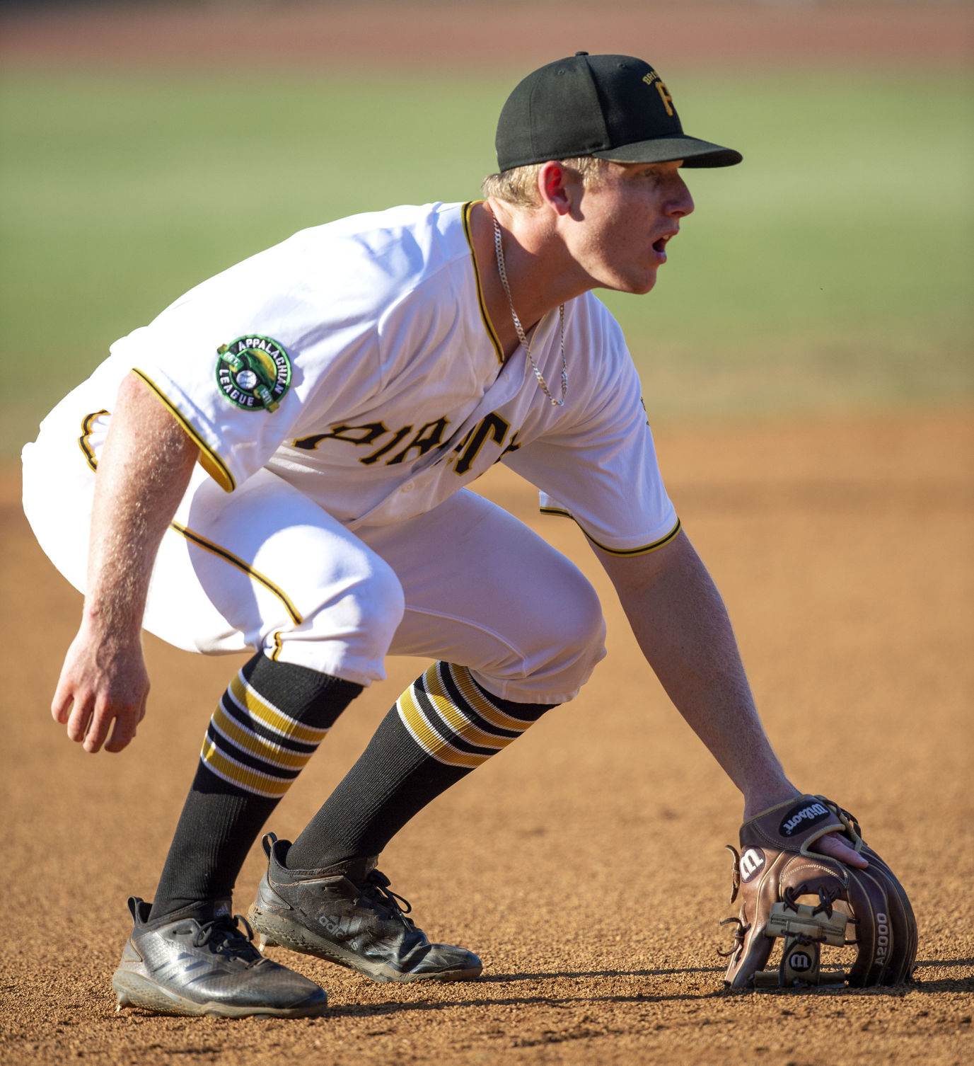 BriBucs' Shackelford still on a honeymoon playing pro baseball
