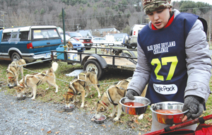 Running with the big dogs