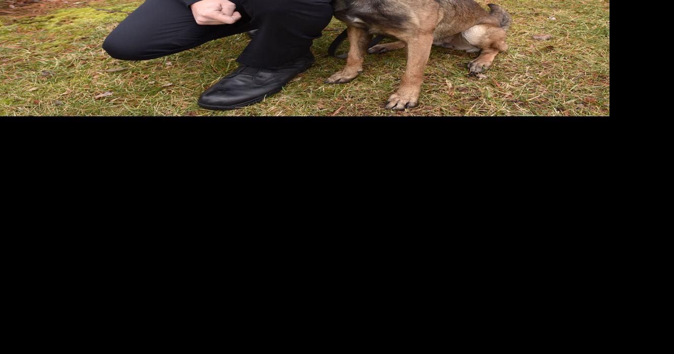 Bristol Tennessee Police Department welcomes new K9 Scout